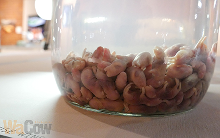 Mouse Wine : 哇靠!洛杉磯