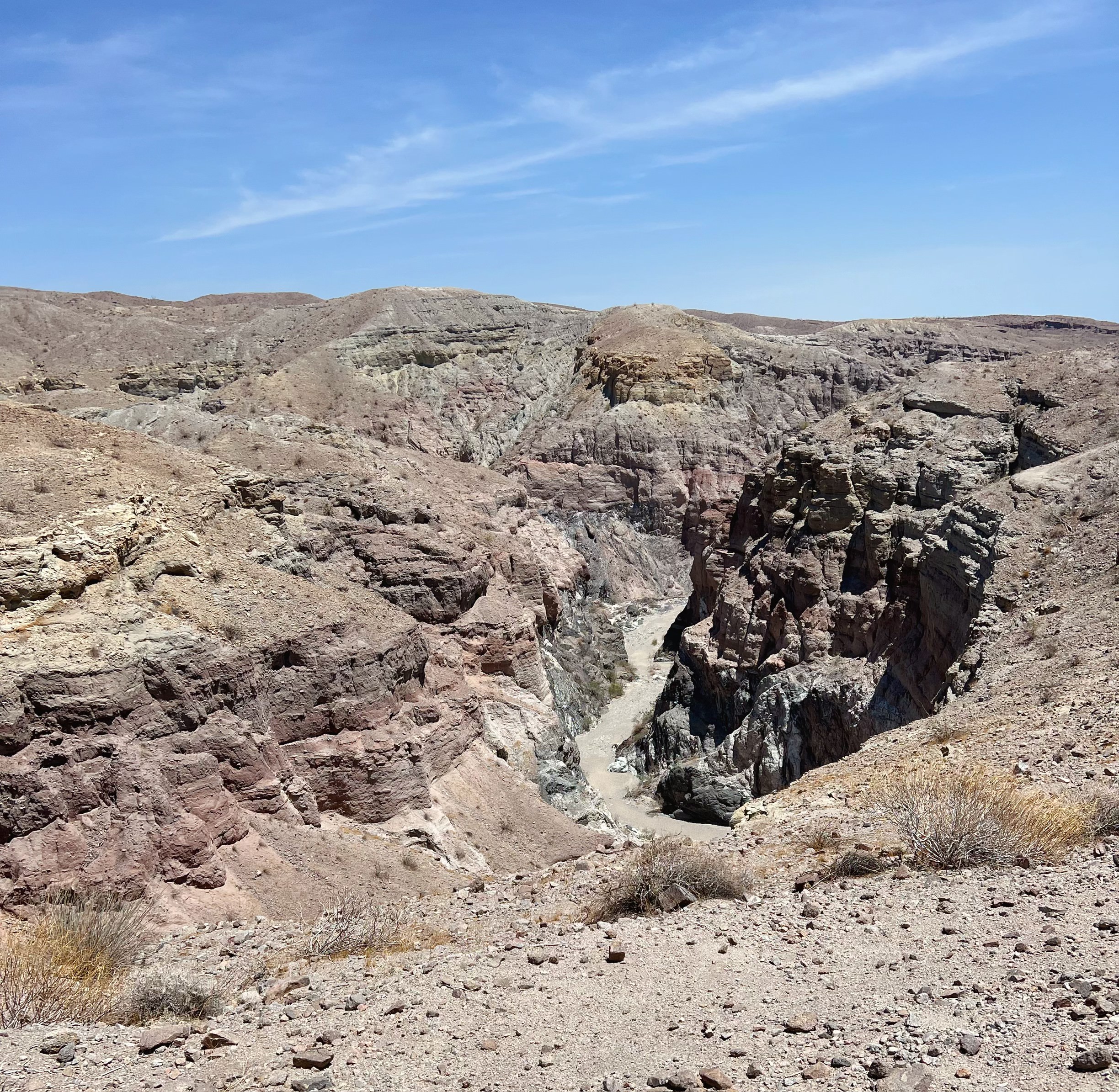 我的露營體驗：Joshua Tree Black Rock Campground 露營及 Ladder Canyon 徒步 : 哇靠!洛杉磯
